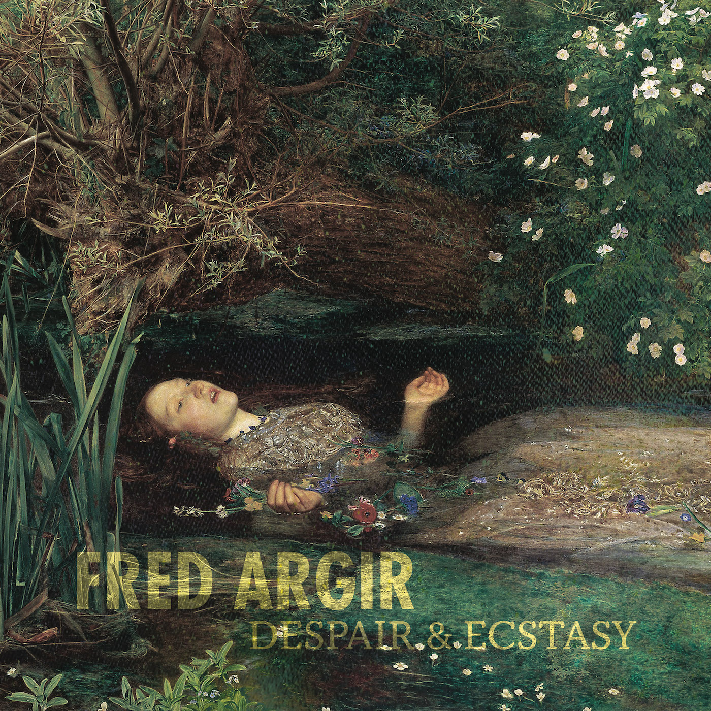 Despair & Ecstasy - Fred Argir (reviewed by Dave Franklin) - Dancing About Architecture